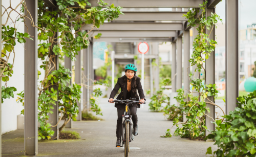 Provisies vakantiegeld - Acerta